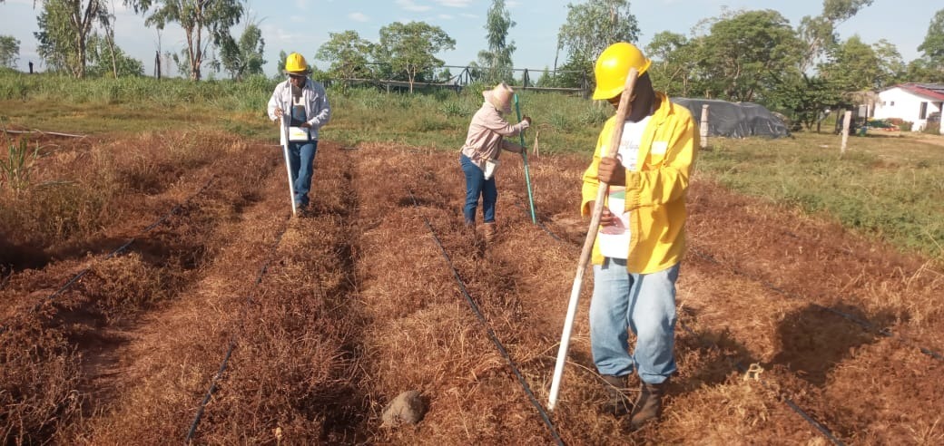 Prodeco invertirá cerca de 5.000 millones de pesos en la implementación ...